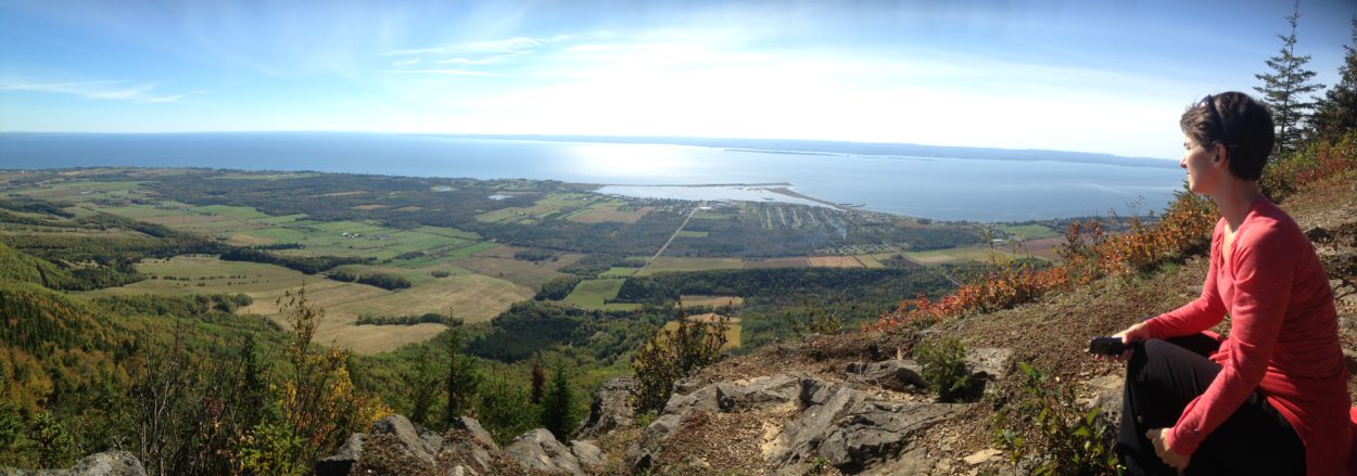 Carleton-sur-Mer - MRC Avignon
